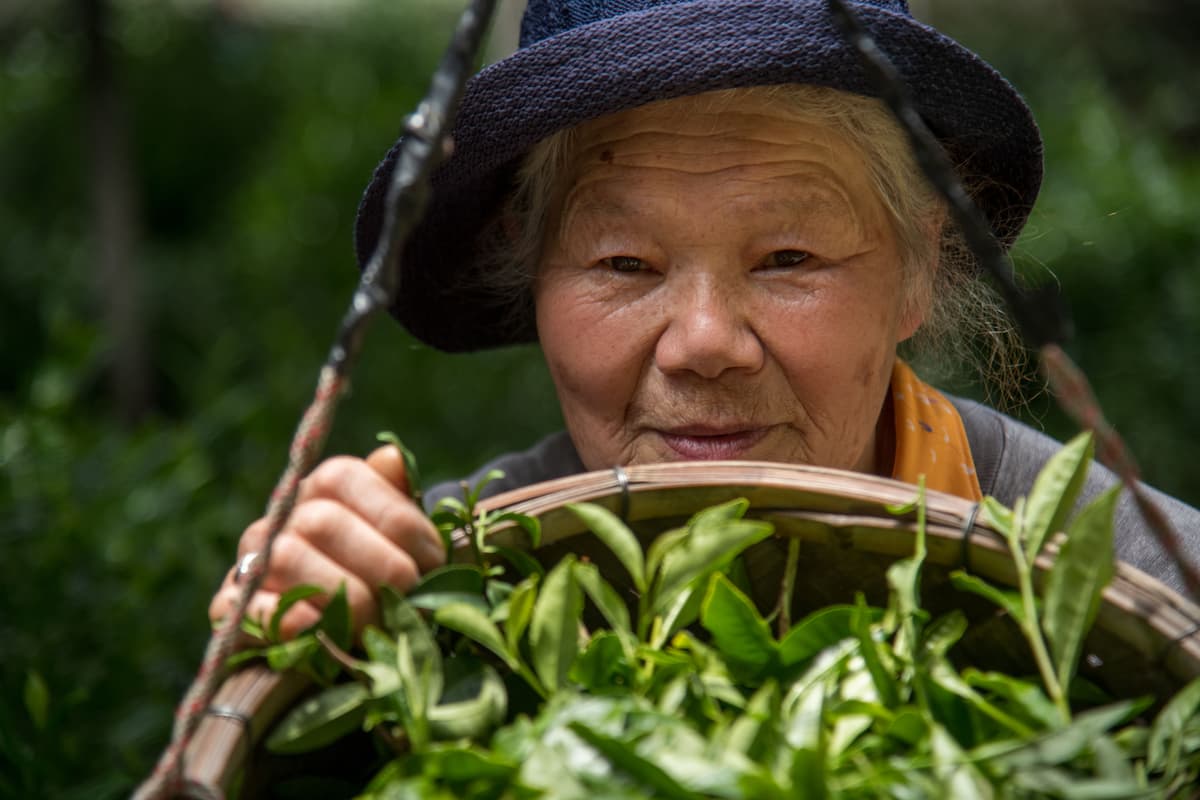 Biomonde | Magasins bio | Groupement coopératif de commerçants