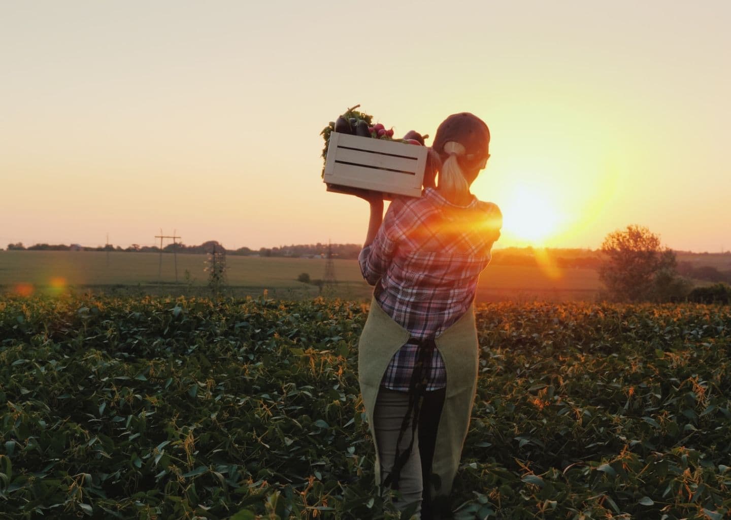 Biomonde | Magasins bio | Groupement coopératif de commerçants